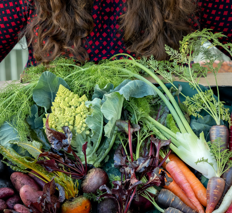 Prune, pineapple and milk truffle layer cake · Alice in Gastronomyland